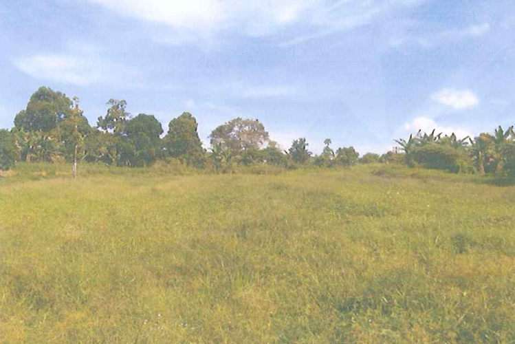 SEBIDANG TANAH KOSONG UNTUK KEGUNAAN BANGUNAN – MFI Real Estate Agency